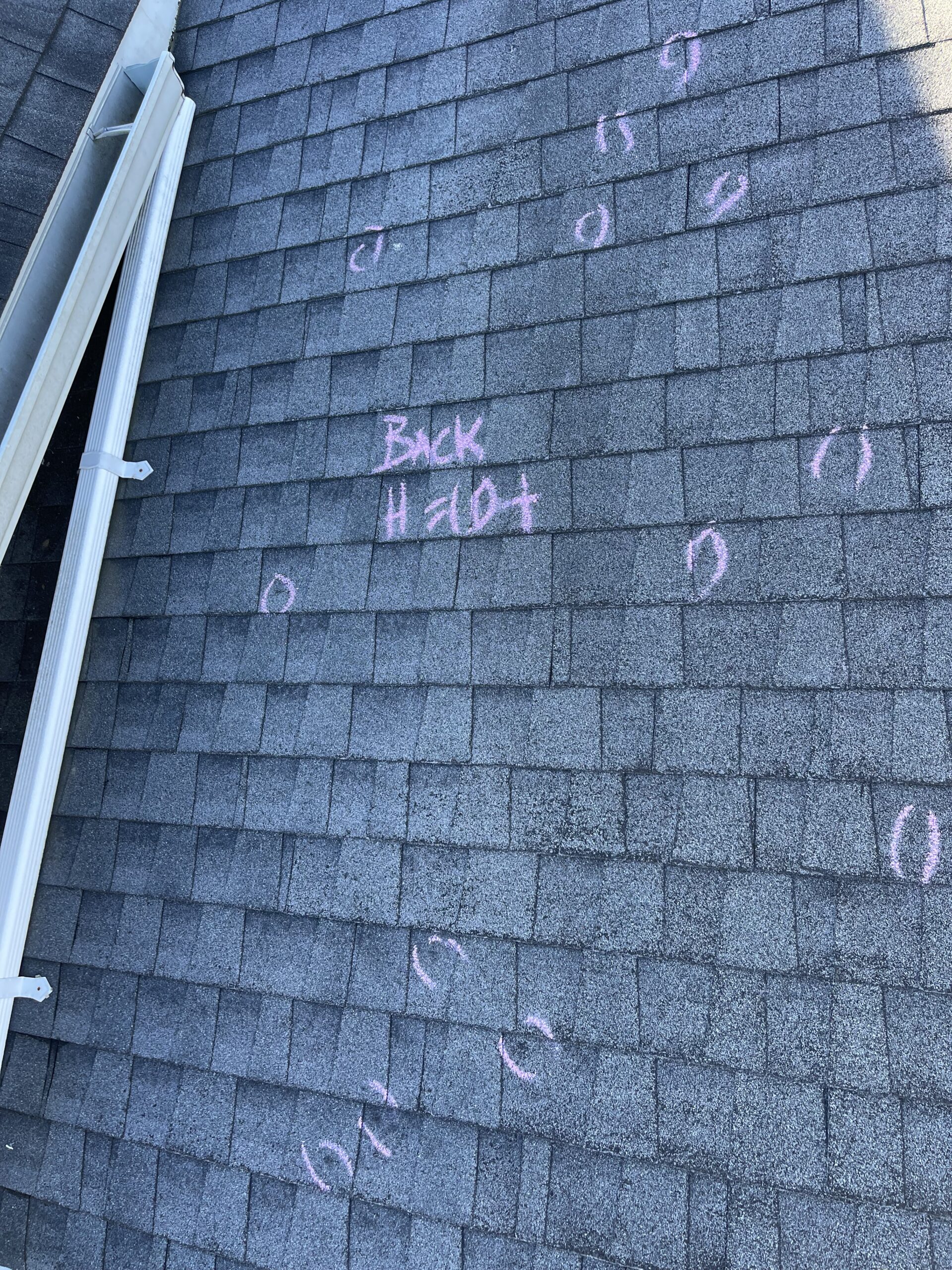 Rise Roofing and Renovations – My WordPress Blog